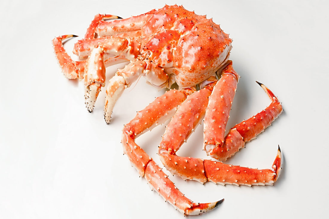 Fresh King Crab Whole 8lbs – Hokkaido Uni Shop