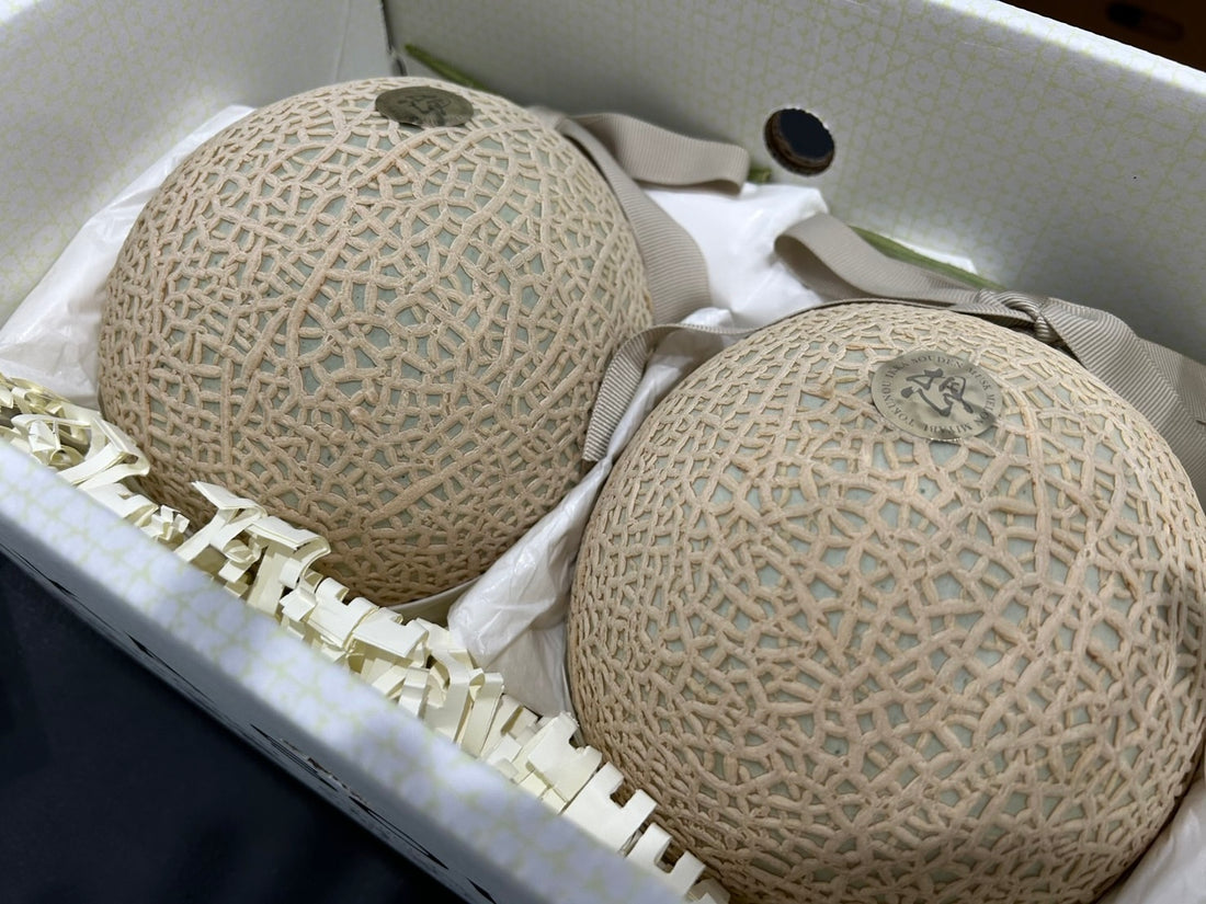 Premium Japanese Musk Melon Gift Box "Omoi" 1.6kg (Only 1 set Availabl ...