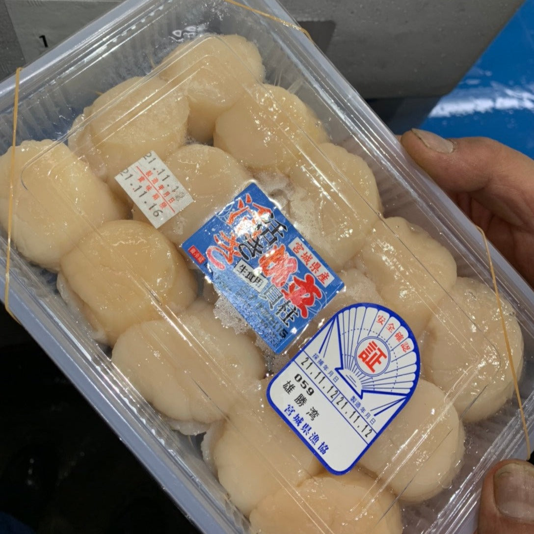 Fresh Hokkaido Hotate (Sashimi Quality) 500g – Hokkaido Uni Shop