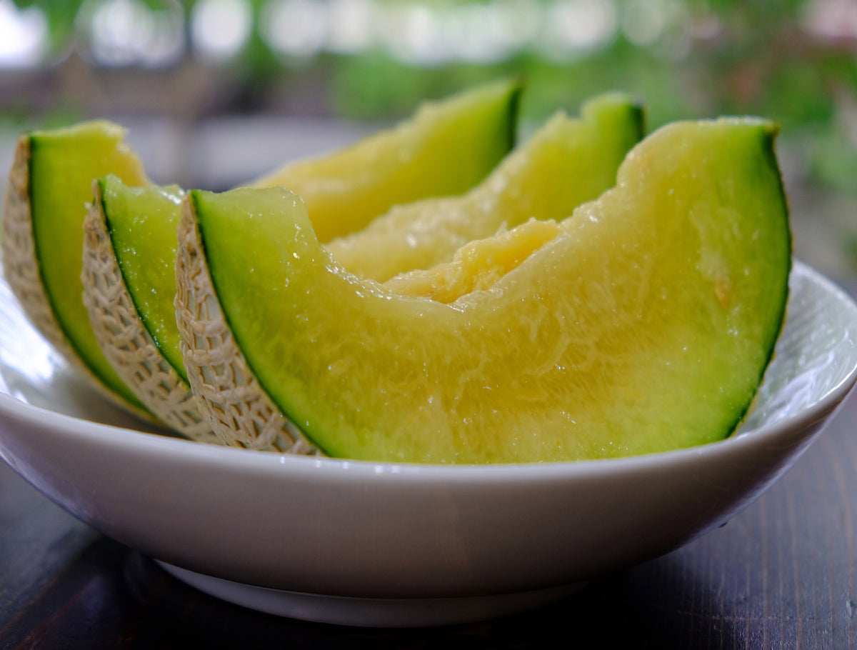 Premium Grade Japanese Musk Melon 竜馬 1.6kg – Hokkaido Uni Shop