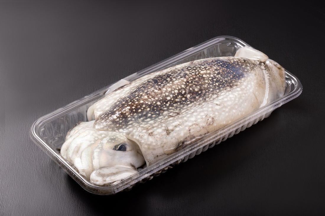 Sumi Ika 600g – Hokkaido Uni Shop