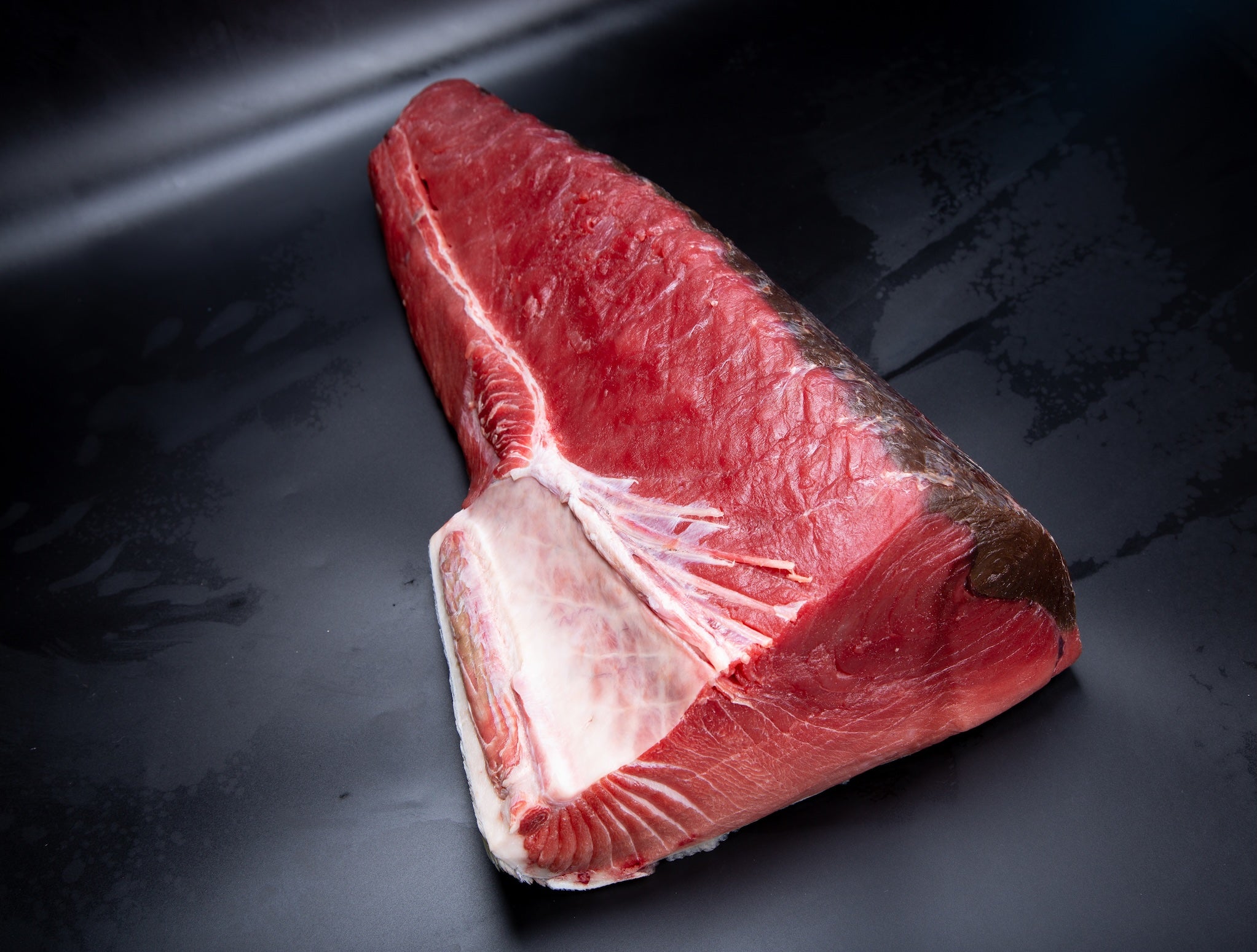 Bluefin Tuna Japan Back Loin 10lbs – Hokkaido Uni Shop