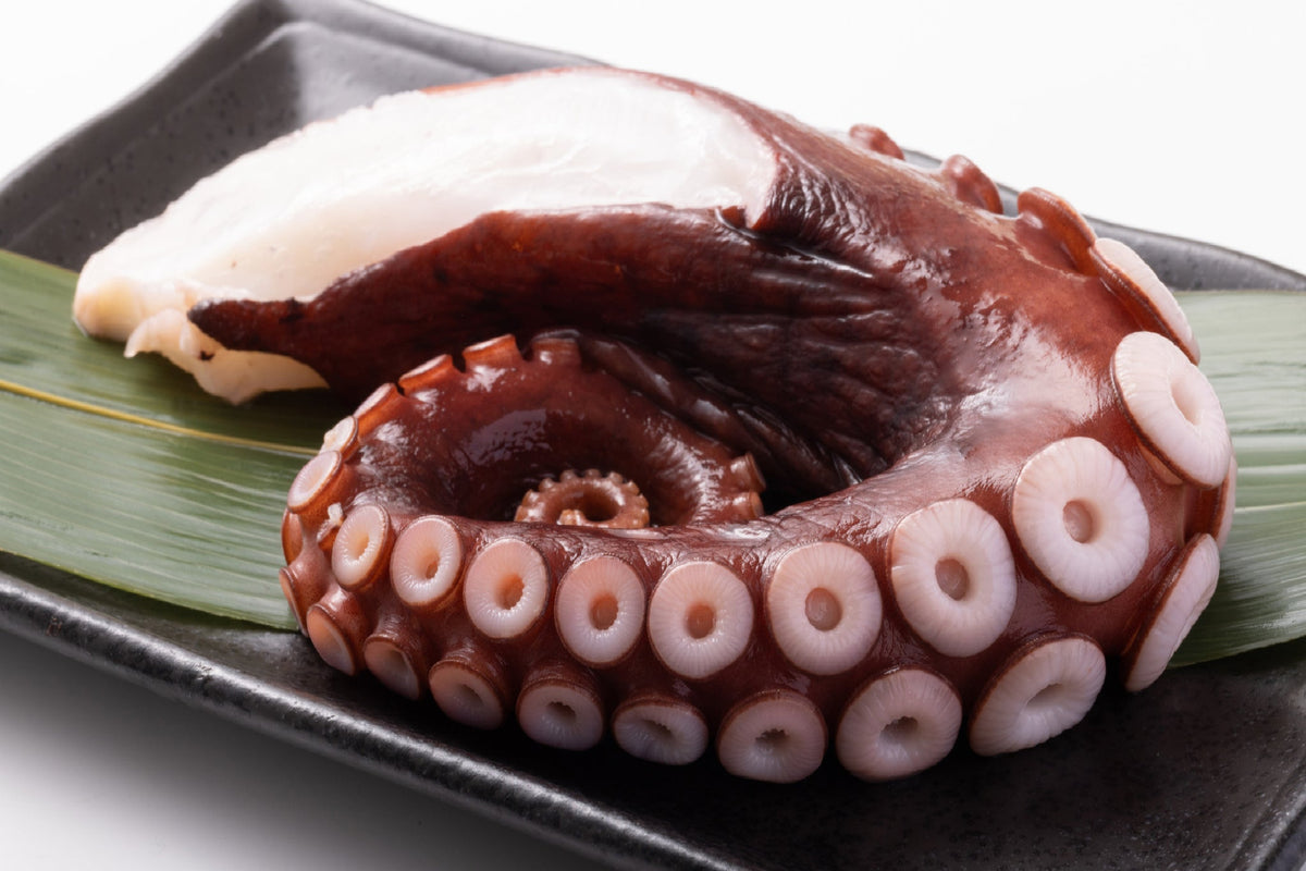Hokkaido Fresh Octopus 1kg – Hokkaido Uni Shop