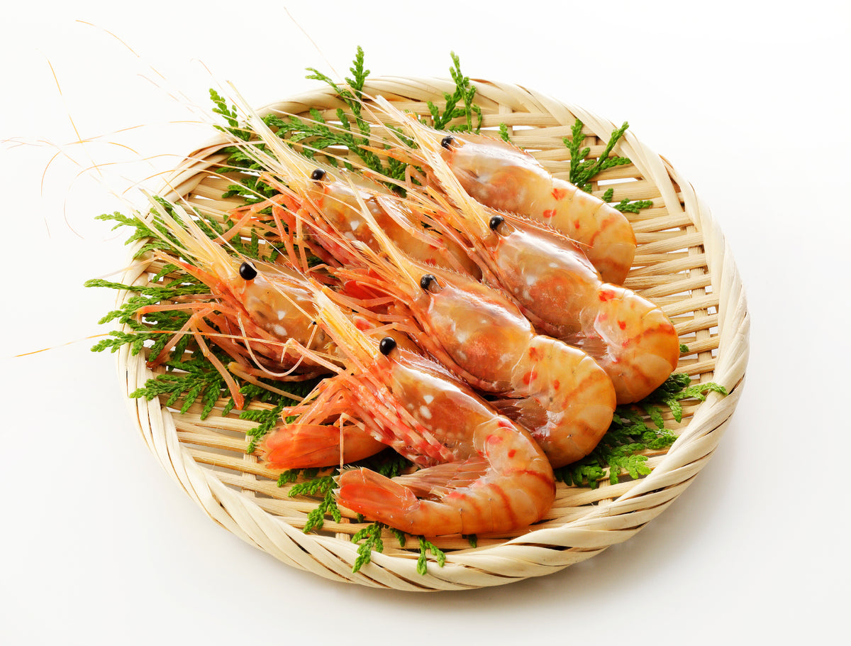 Frozen Botan Ebi (Spot Prawn) XL 21-24 PC – Hokkaido Uni Shop
